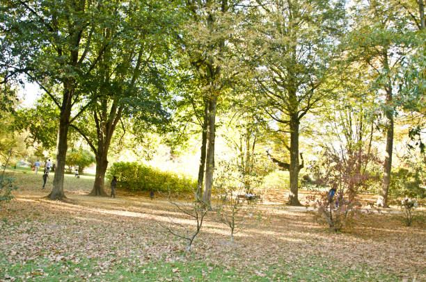 Stammberger GmbH - LEISTUNGEN